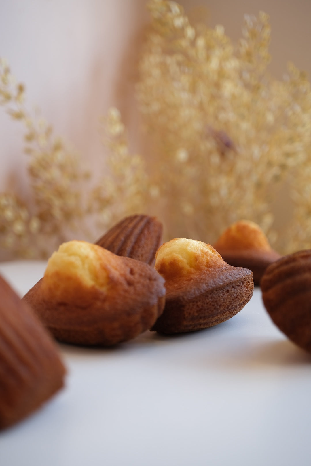 Galerie – Pâtisserie Madeleine